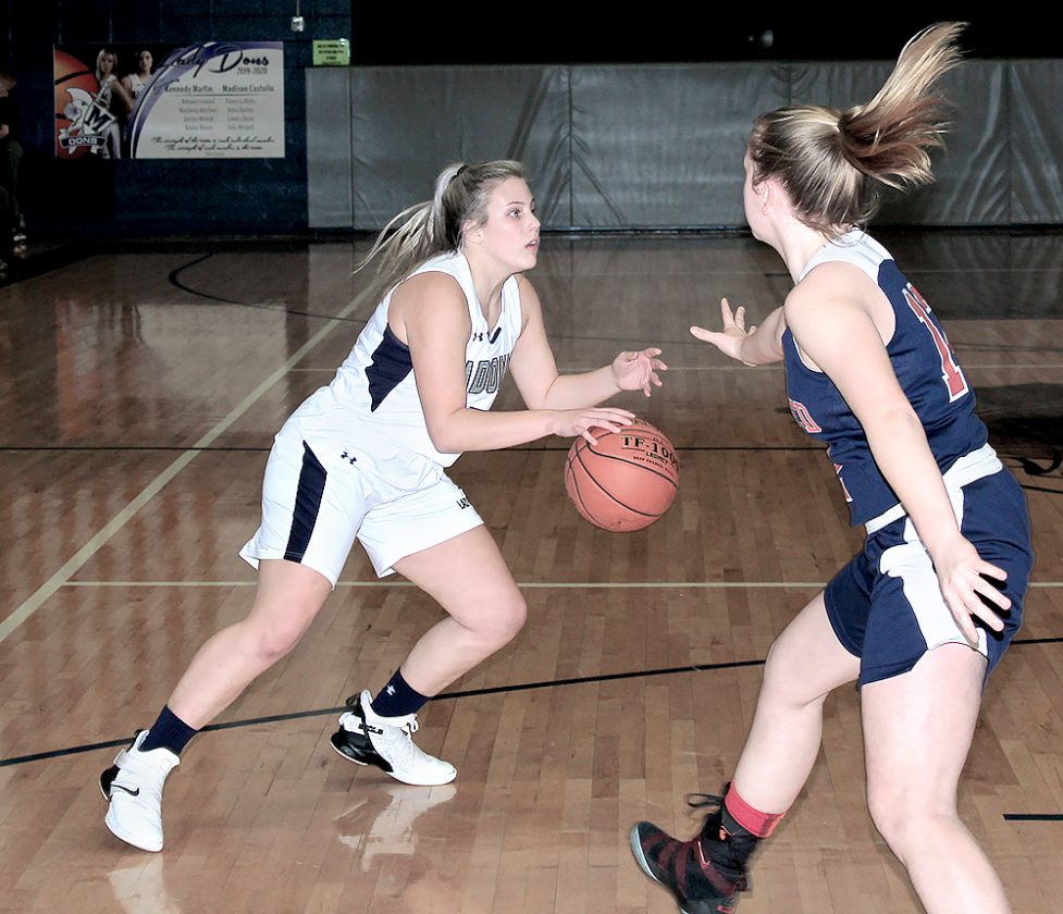 Melnyk scores 38, helps end Blue Dons’ skid | News, Sports, Jobs - The ...